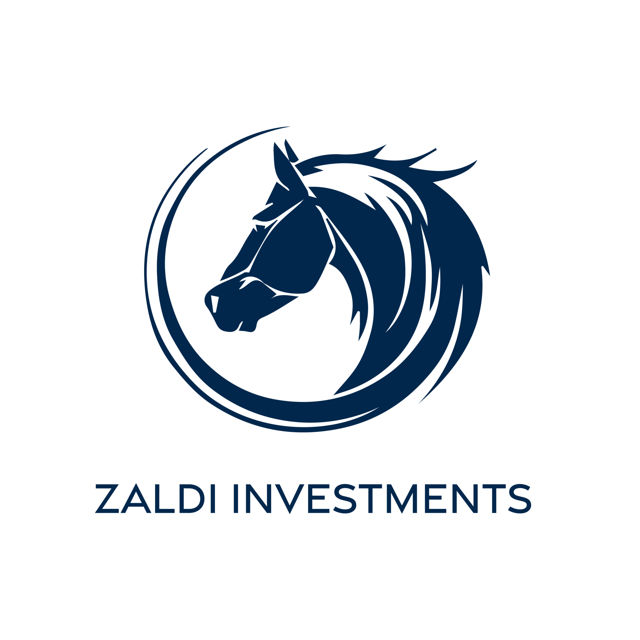 Zaldi Star – ZALDI CAPITAL